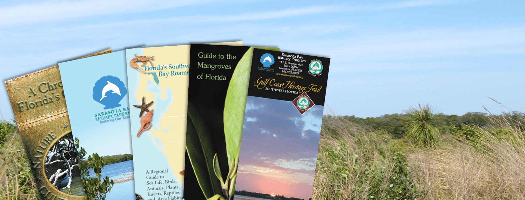 Educational Brochures | Sarasota Bay Estuary Program